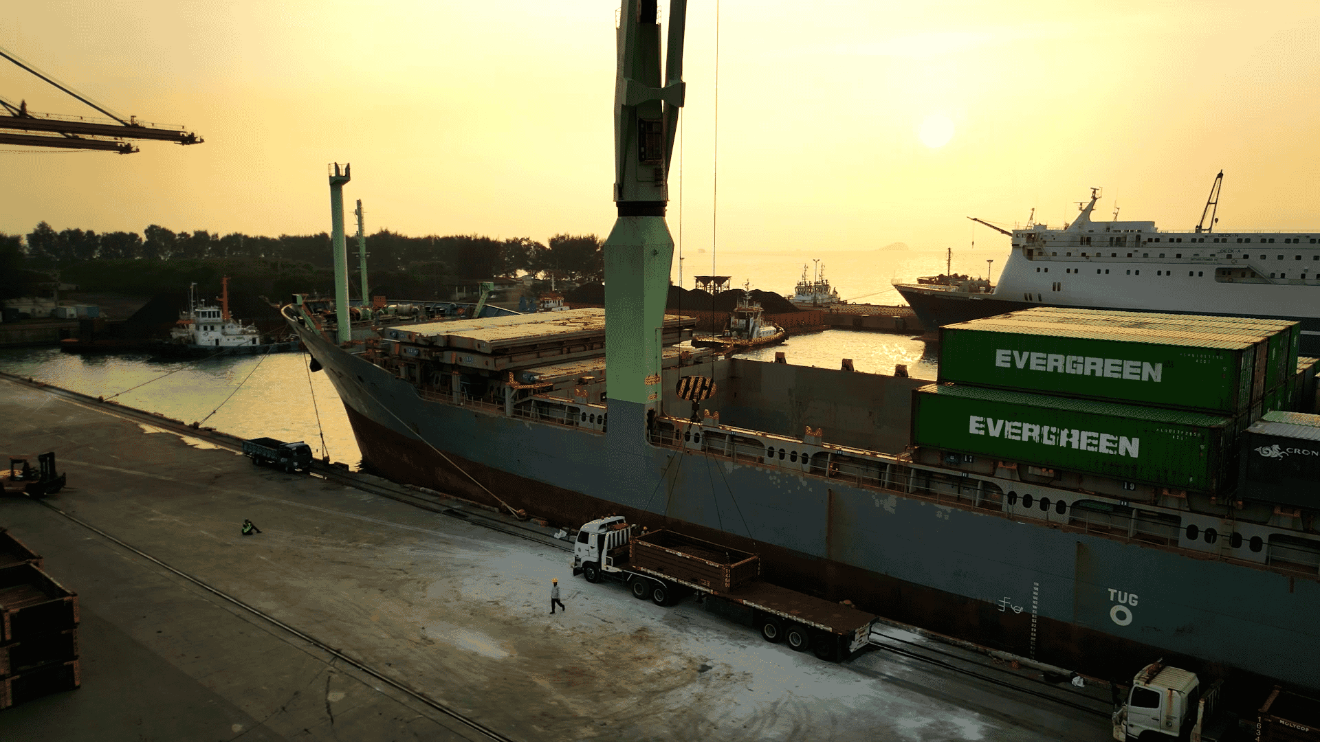 Molycop Multimedia Gallery | Molycop